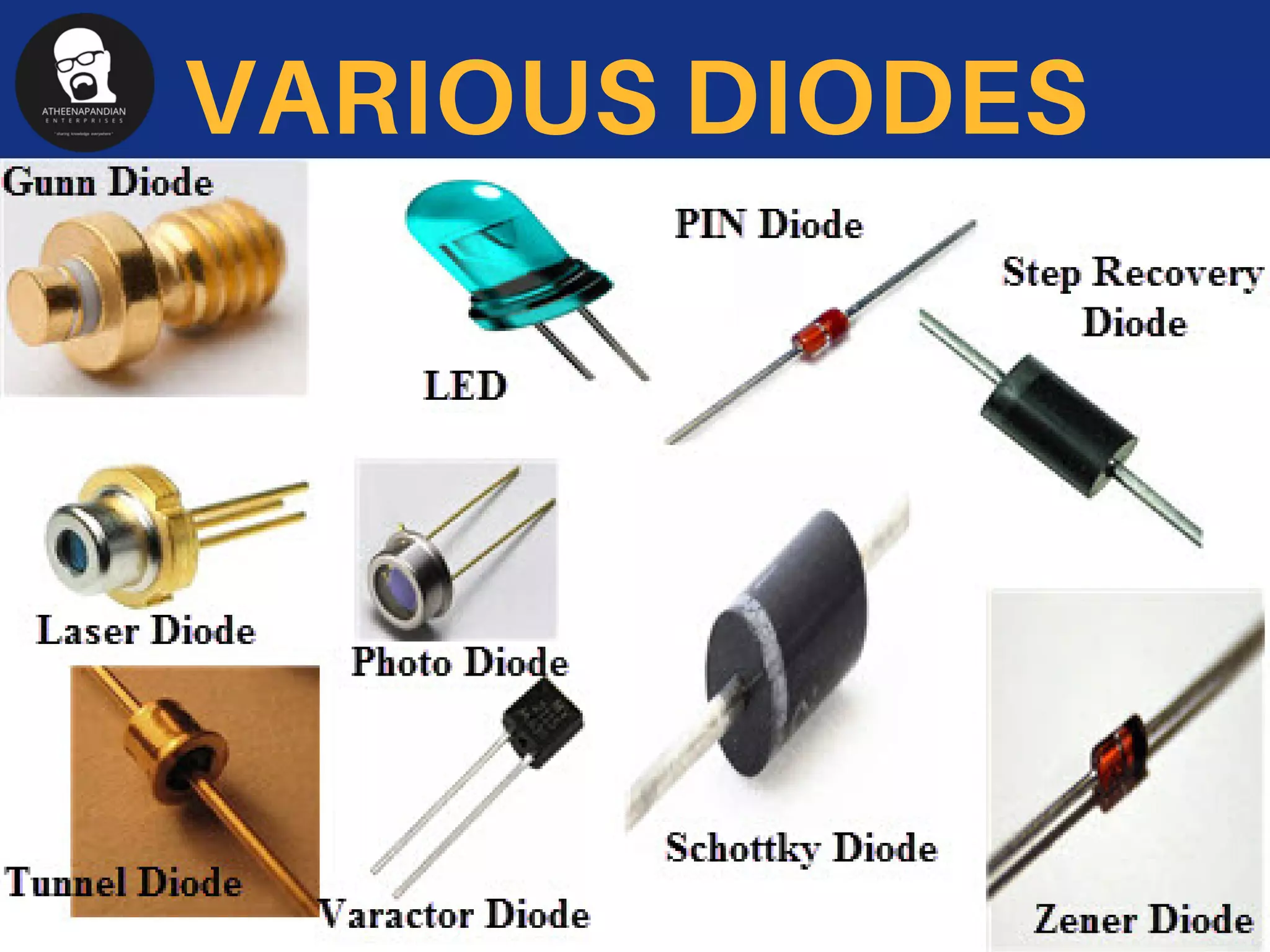 Diodes basics | PDF