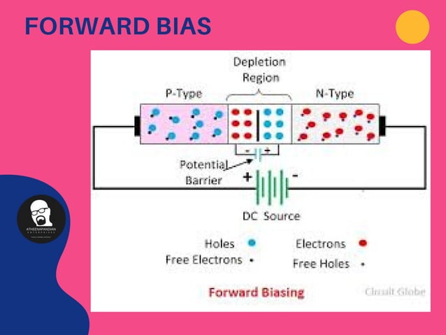 Diodes basics | PDF | Consumer Electronics | Technology & Computing