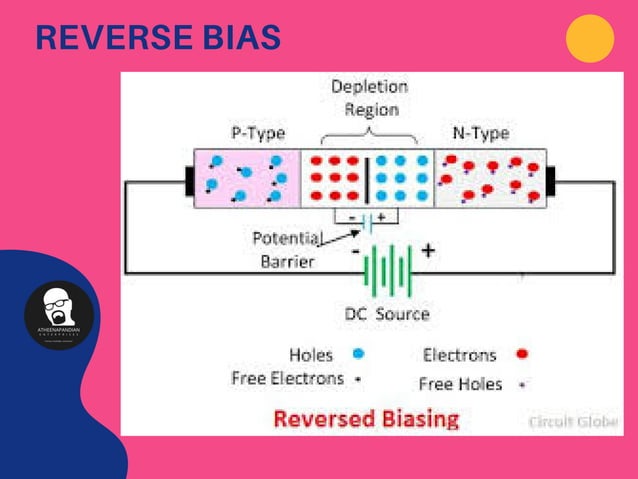Diodes basics | PDF | Consumer Electronics | Technology & Computing