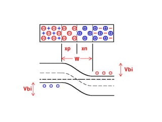 pin junction diode and and its basics power point presentation | PPT