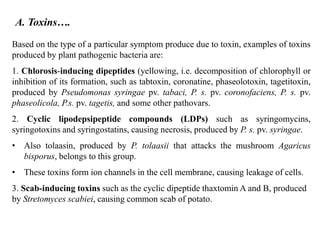 bacterial plant diseases DIOGNOSIS.pptx