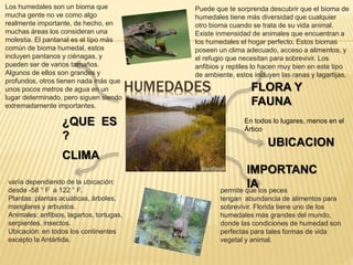 Biomas | PPTX