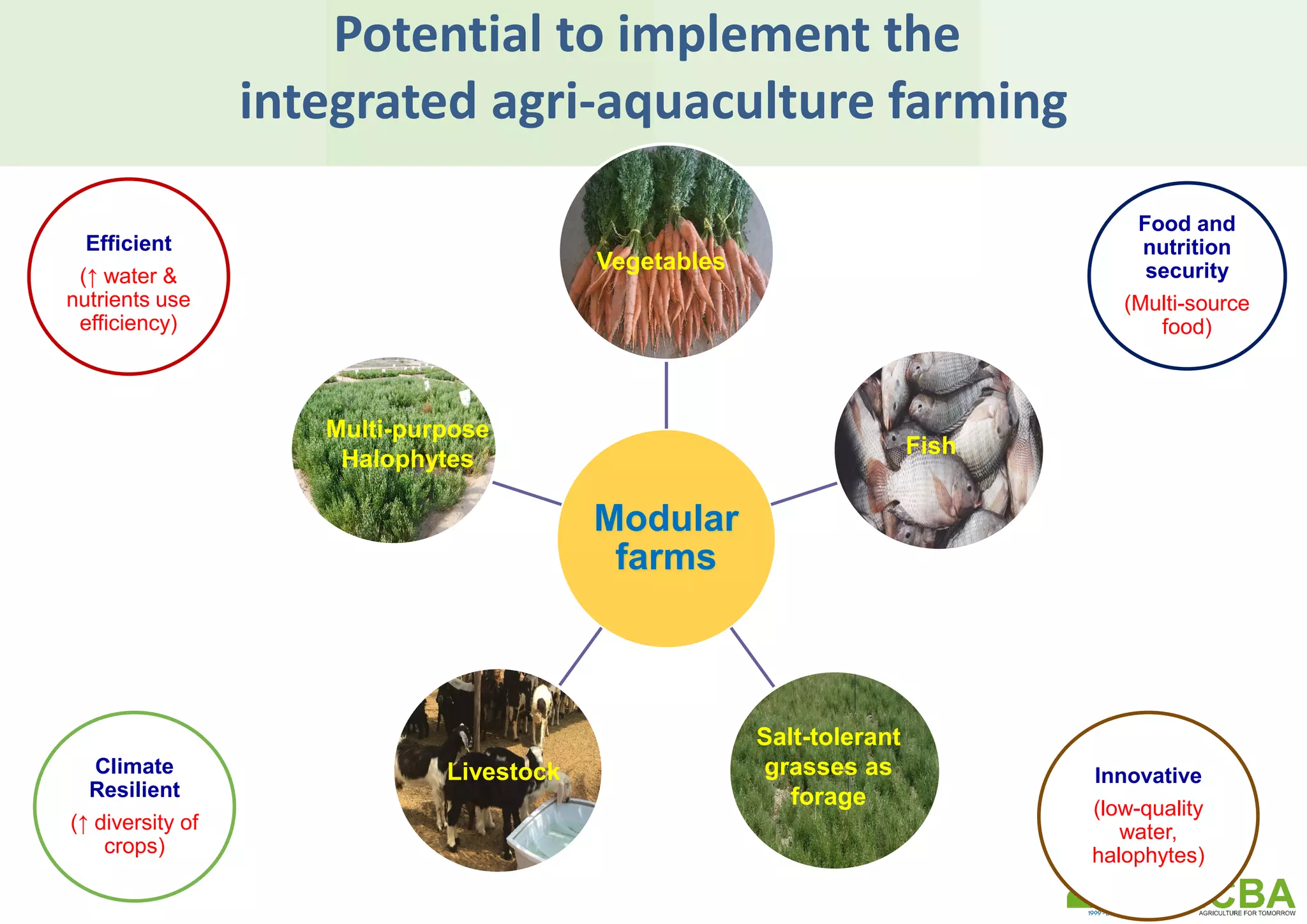 Utilizing the reject brine from desalination for implementing ...