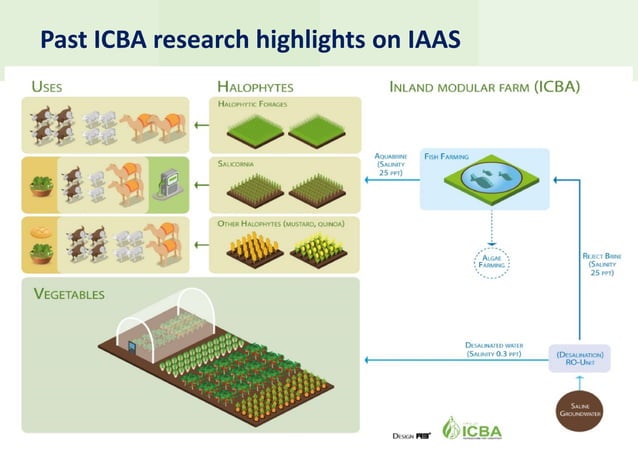 Utilizing the reject brine from desalination for implementing ...