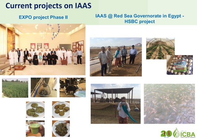 Utilizing the reject brine from desalination for implementing ...