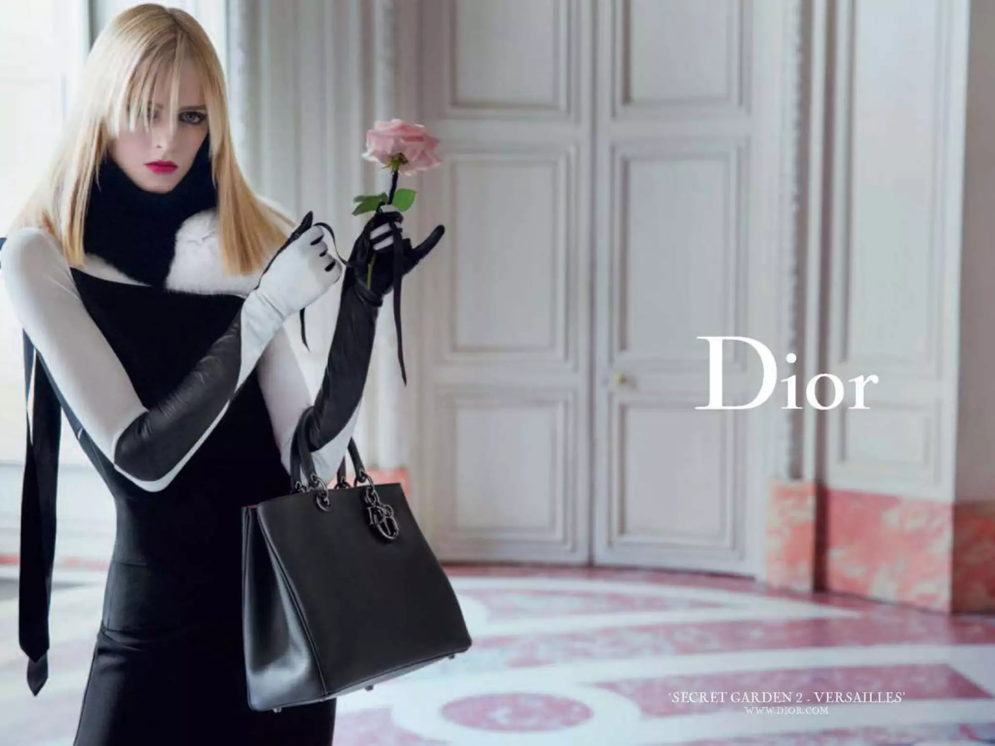 Dior | PPTX