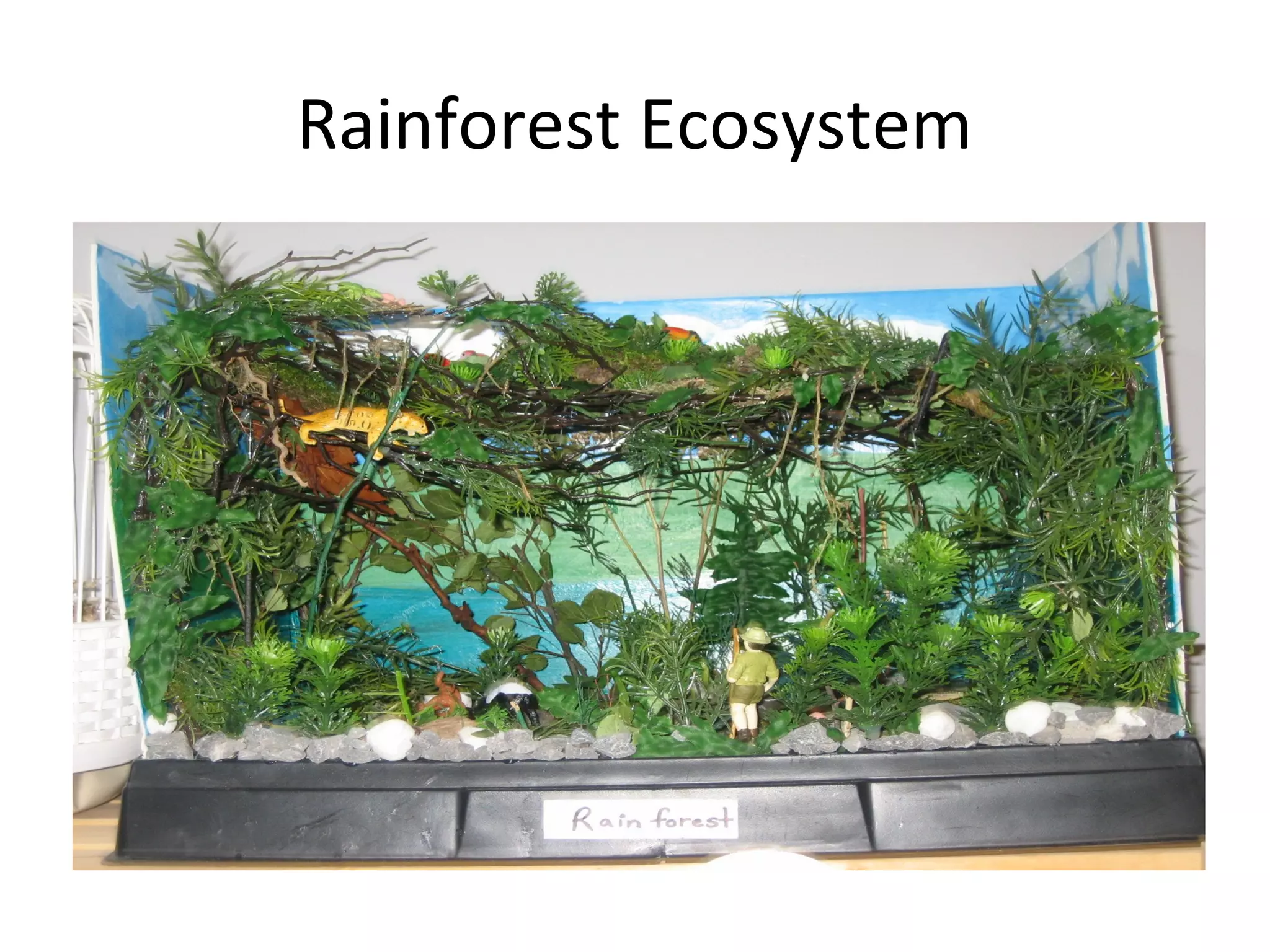 Diorama powerpoint | PPT