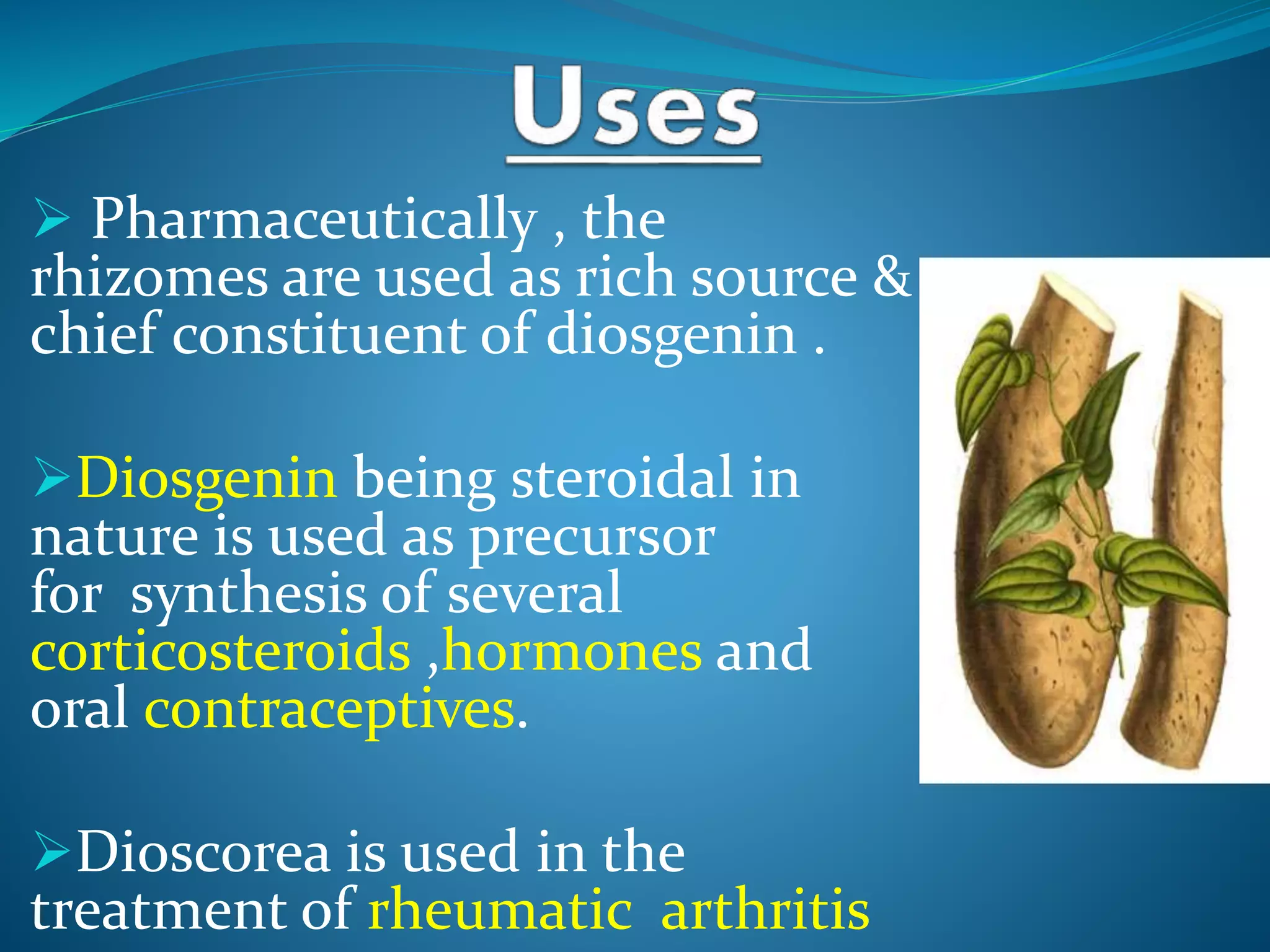 Dioscorea | PPTX
