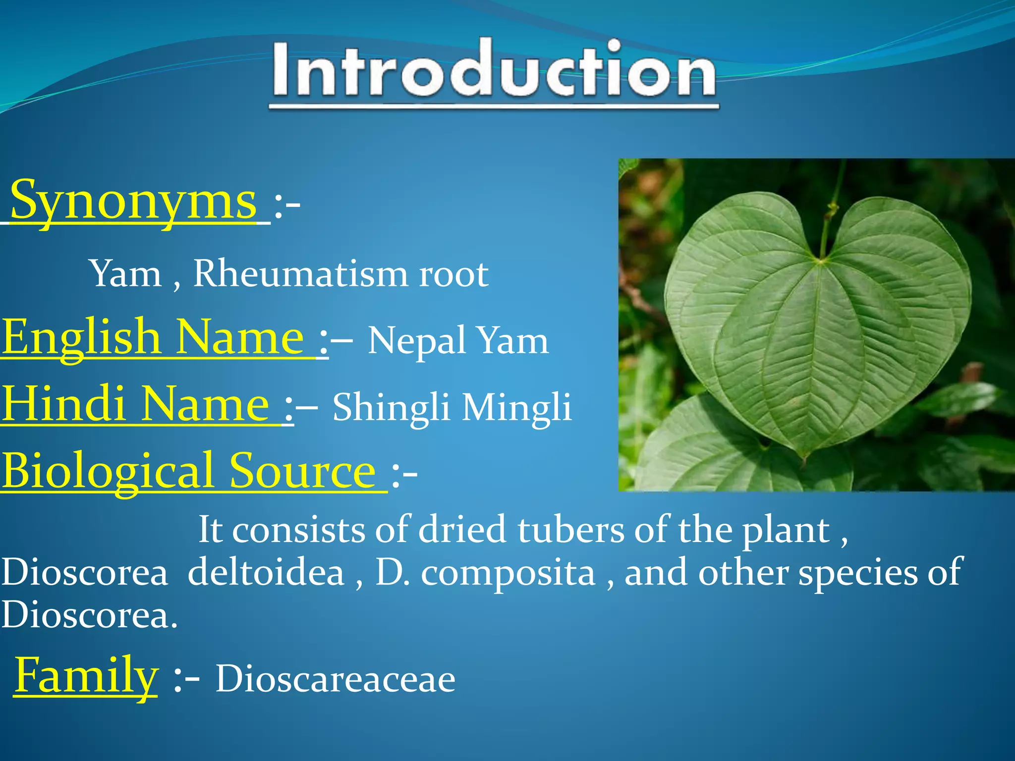 Dioscorea | PPTX