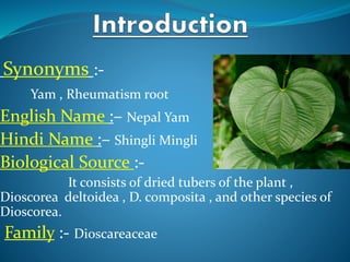 Dioscorea | PPT