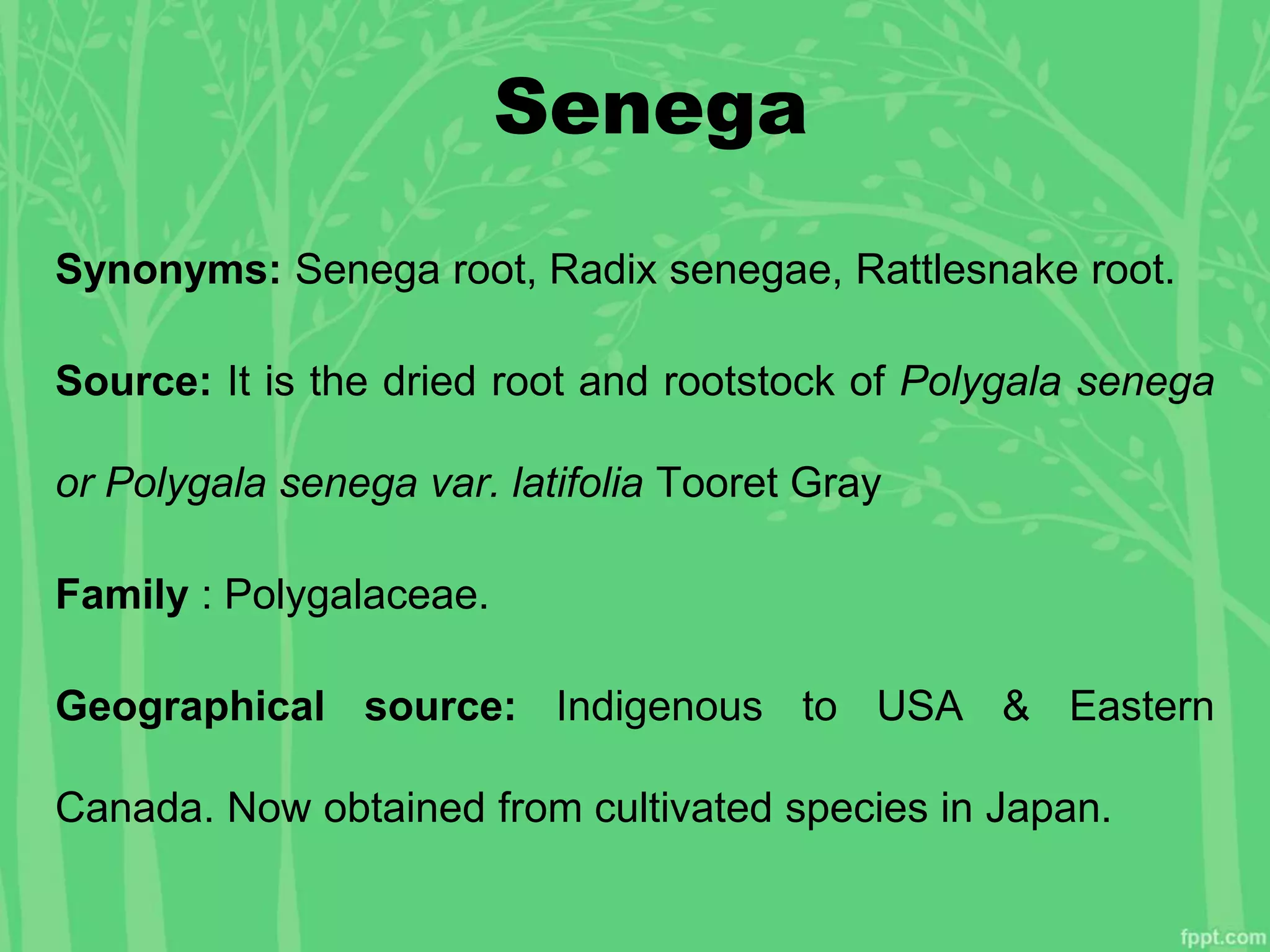 Dioscorea, Senega | PPT