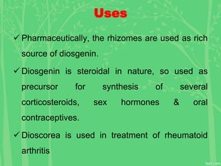 Dioscorea, Senega | PPT