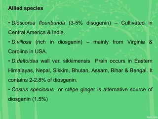 Dioscorea, Senega | PPT