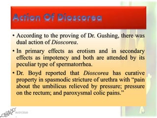 Dioscorea Villosa- Homoeopathic medicine | PPT