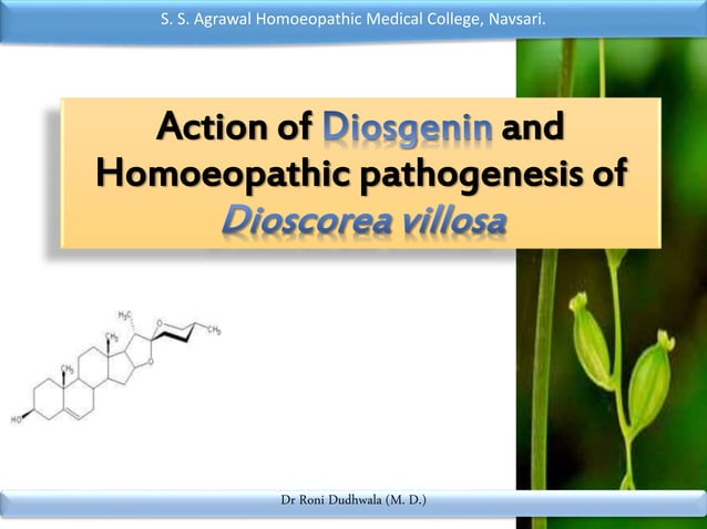 Dioscorea Villosa- Homoeopathic medicine | PPT