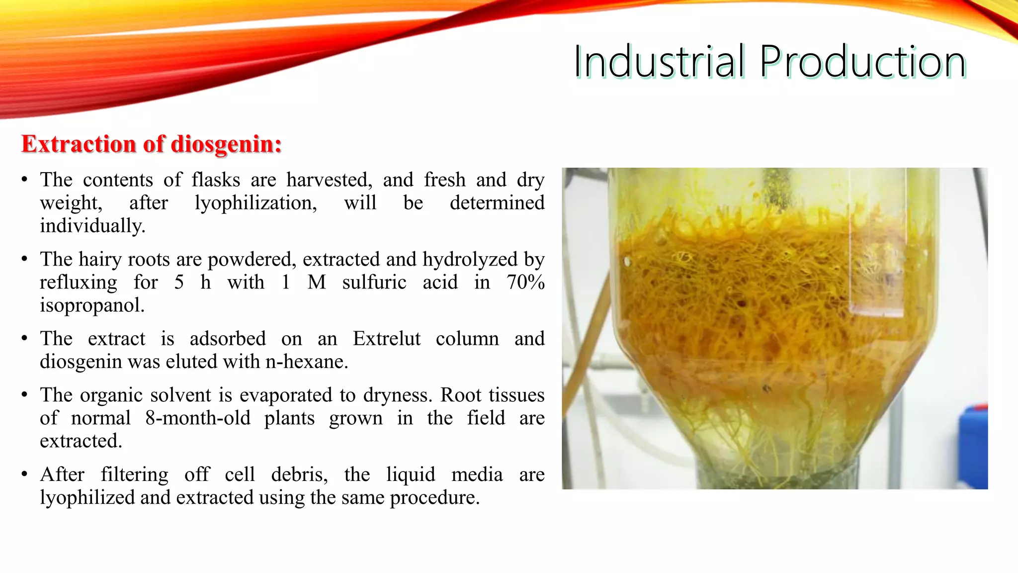 Industrial production of Diosgenin, digoxin and podophyllotoxin | PPTX
