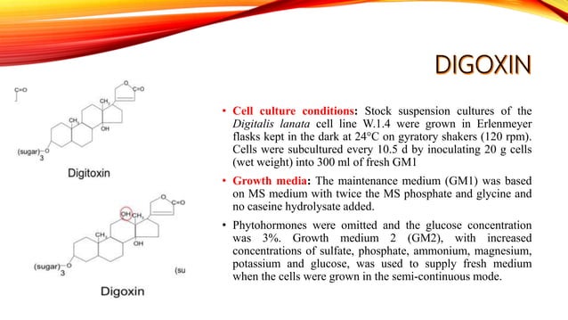 Industrial production of Diosgenin, digoxin and podophyllotoxin | PPTX ...