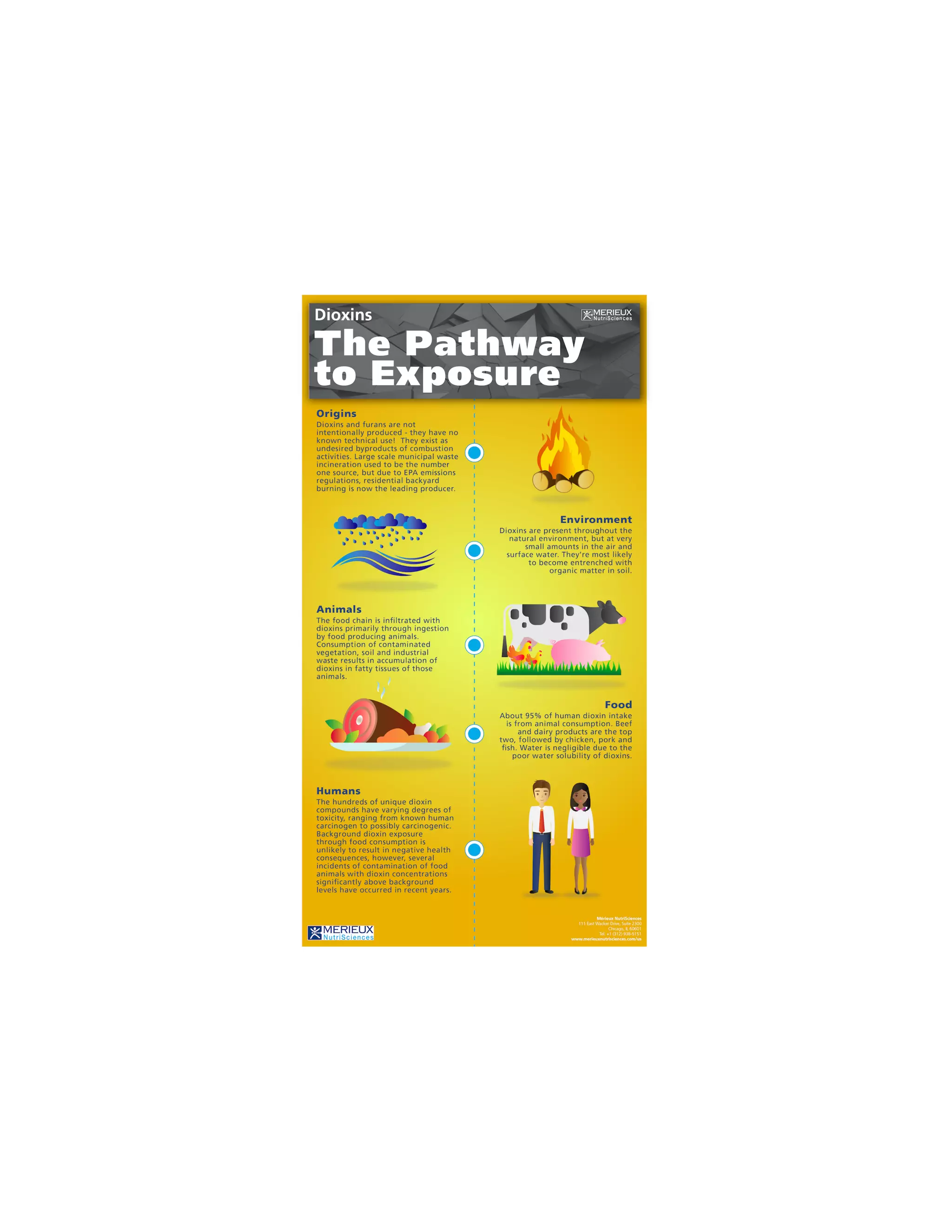 Pathway to Exposure for Dioxins | PDF