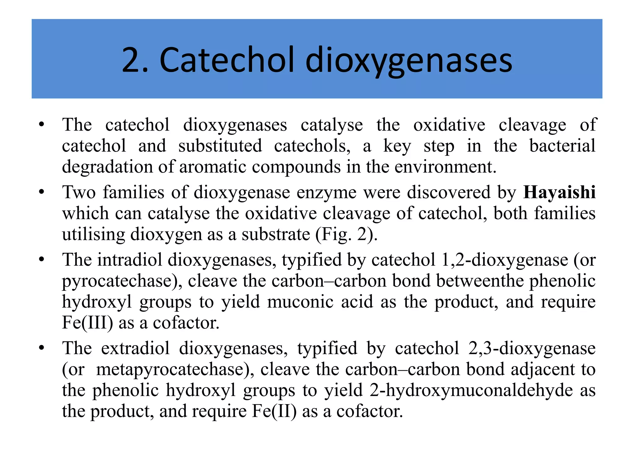 Dioxygenase enzymes | PPTX