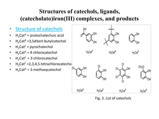 Dioxygenase enzymes | PPTX