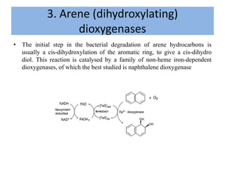 Dioxygenase enzymes | PPTX