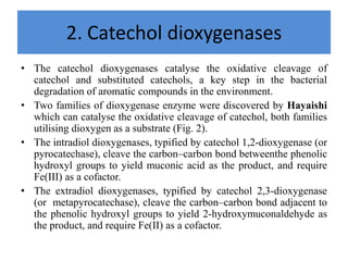Dioxygenase enzymes | PPTX