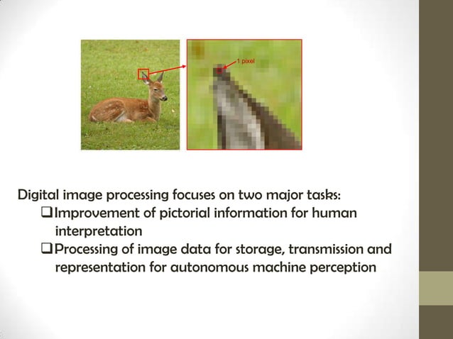 Digital image processing | PPT