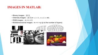 Digital image processing | PPT