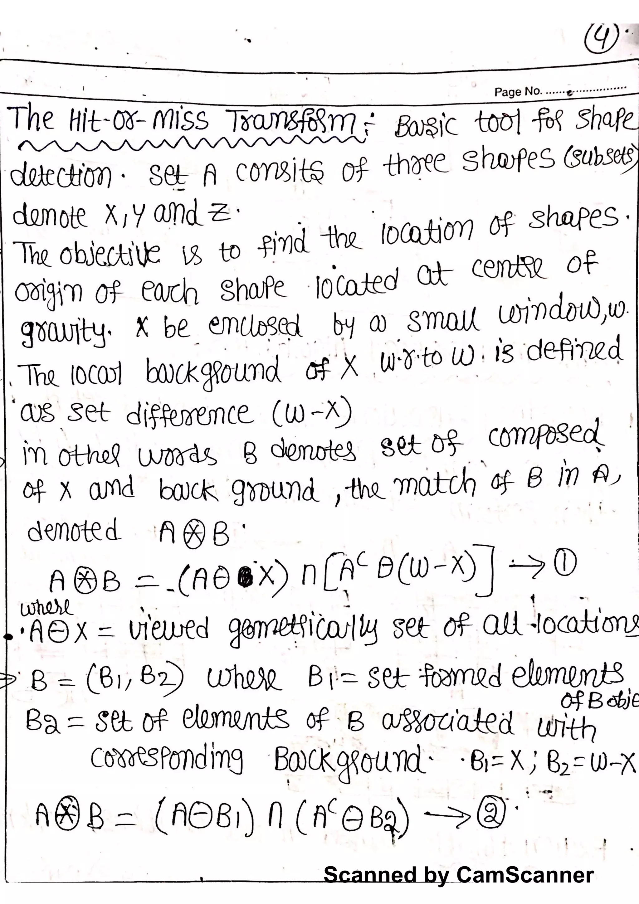 Dip morphological notes | PDF