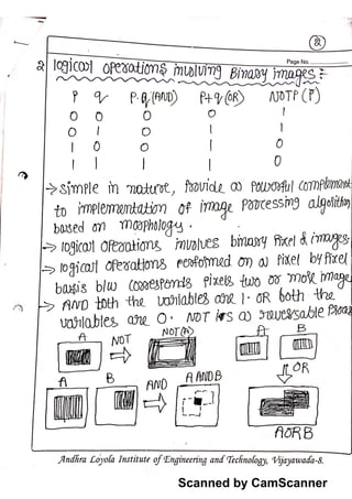 Dip morphological notes | PDF | Law