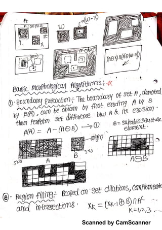 Dip morphological notes | PDF | Law