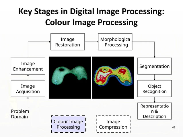 Digital Image Processing fundamentals.pptx