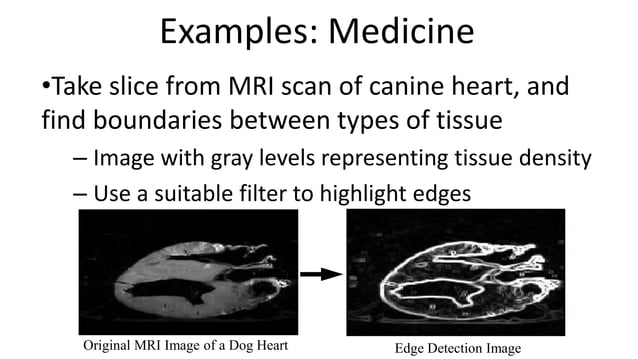 Dip application 1 | PPTX