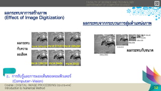 Dipch01 Introduction to digital image processing | PDF