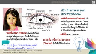 Dipch01 Introduction to digital image processing | PDF