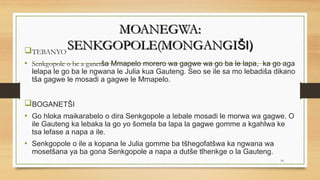 Sehlopha sa Baphalaborwa ba Kgosi Matome Shokane | PPT