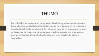 Sehlopha sa Baphalaborwa ba Kgosi Matome Shokane | PPT