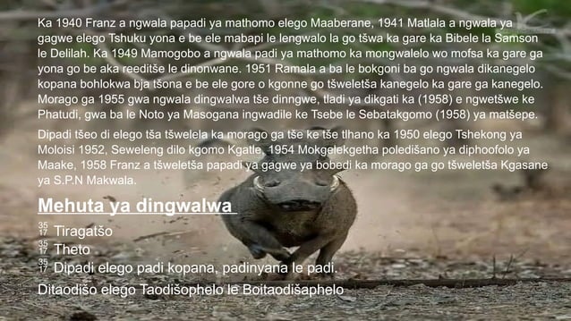 Dipego AFT 121- Dikolobe tsa Bjatladi.pptx