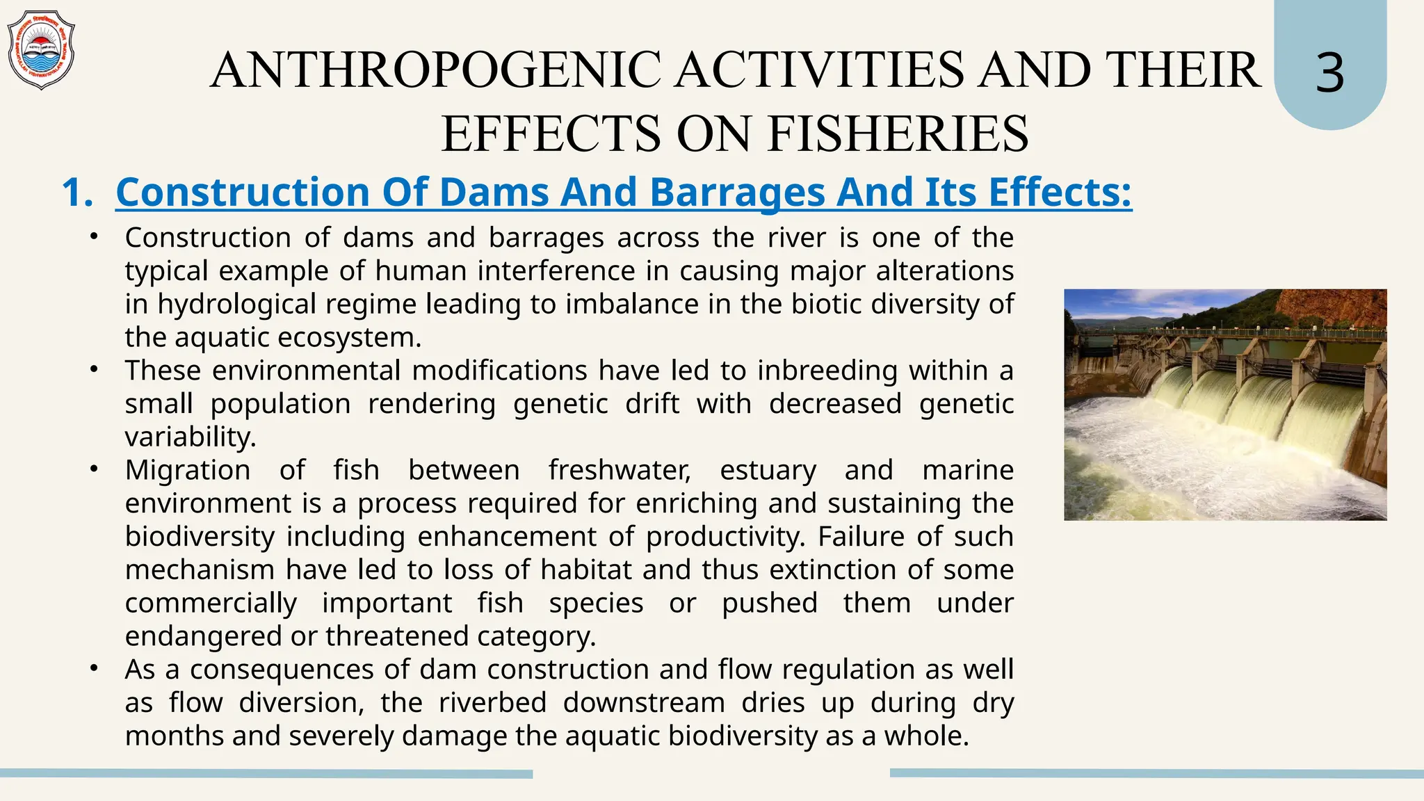 Anthropogenic Activities and Their Effects on Fisheries.pptx