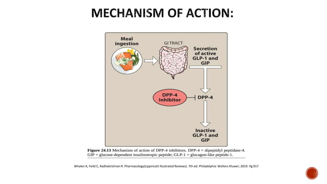 Dipeptidyl peptidase inhibitors(DPP-IV): A deep insight | PPTX