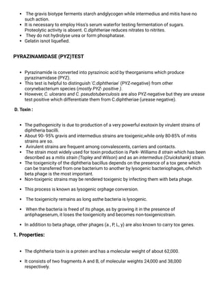 CORYNEBACTERIUM (microbiology) | PDF