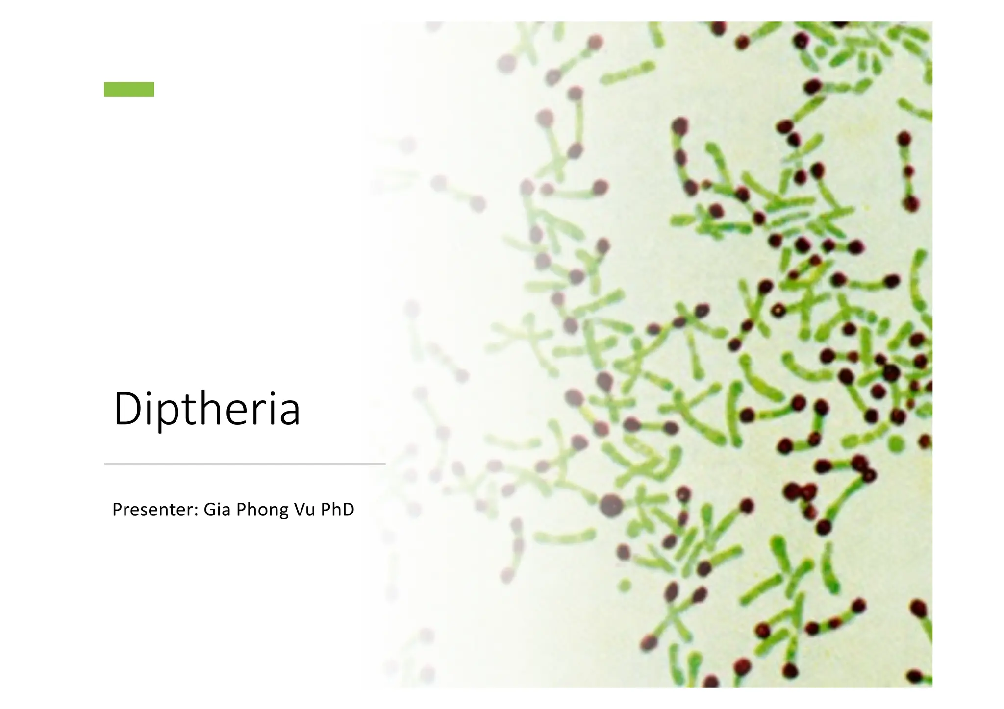 Diphtheria.pdf