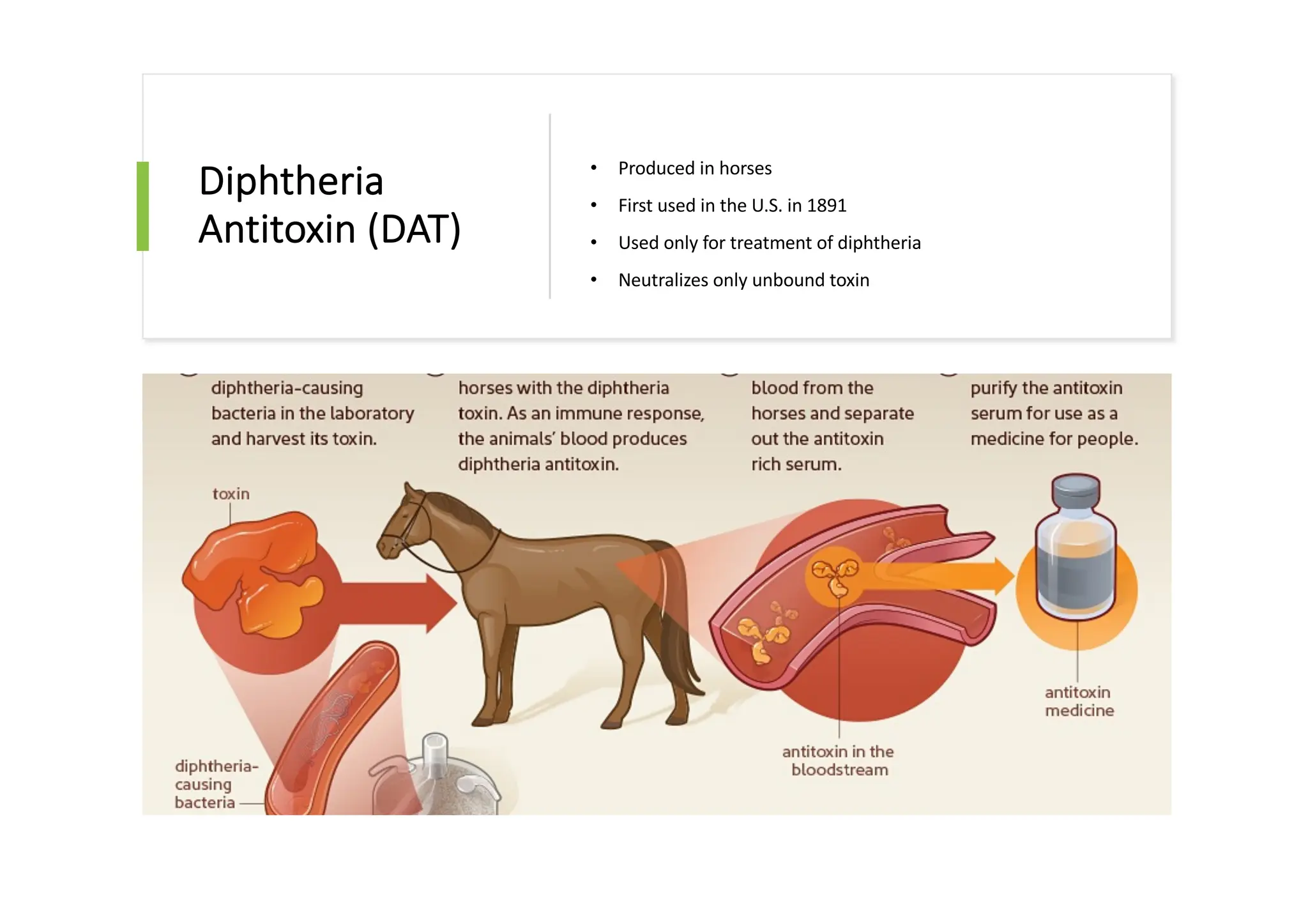 Diphtheria.pdf