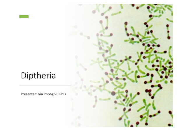 Diphtheria.pdf