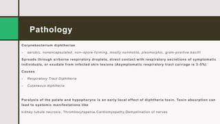 Clinical management of diphtheria in nelson.pptx