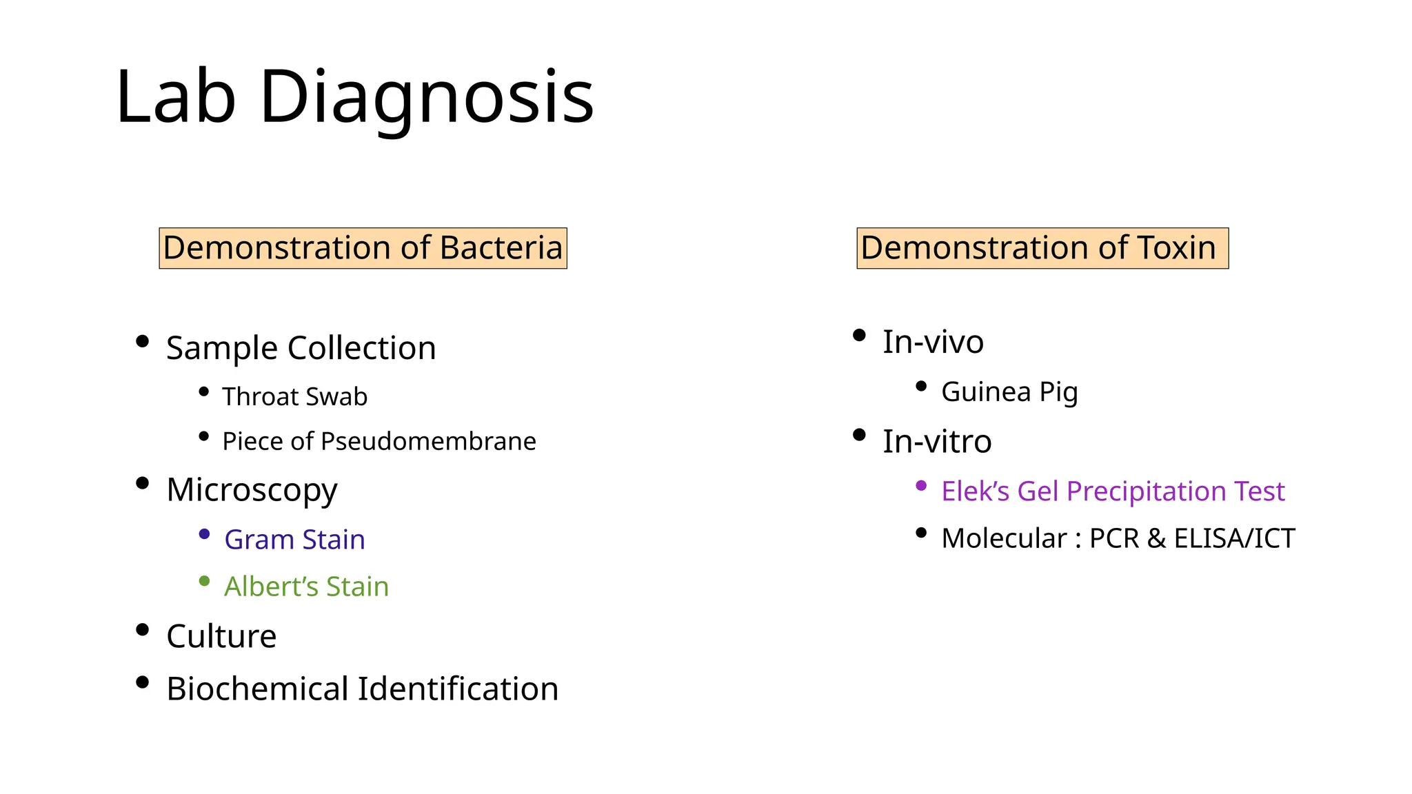 Corynebacterium diphtheriae : Essentials for MBBS Microbiology | PPTX