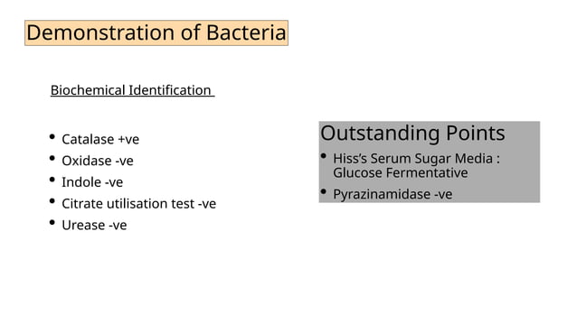 Corynebacterium diphtheriae : Essentials for MBBS Microbiology | PPTX