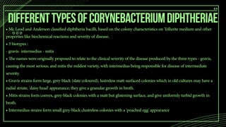 Diphtheria micro biology bacteria unversity.pdf