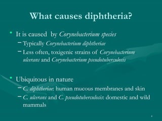 DIPHTHERIA and it's Management in medicine | PPTX