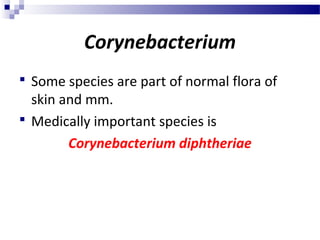 Diphtheria - Prac. Microbiology | PPT